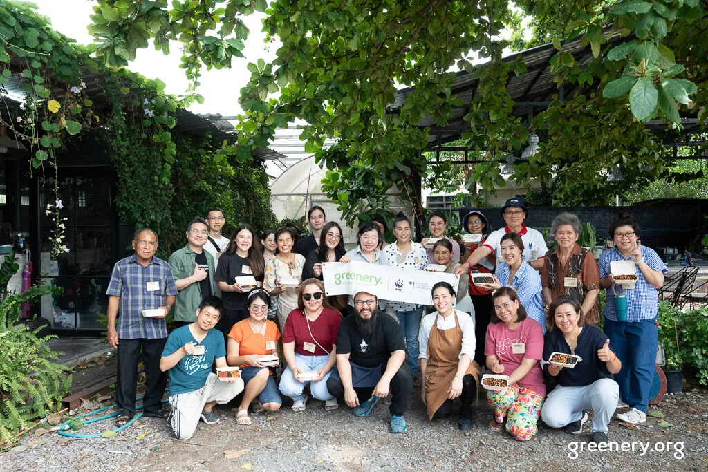 Greenery Journey ตอน...Microgreen Magic: ปลูกผักจิ๋ว ประโยชน์สุดแจ๋ว - greenery.