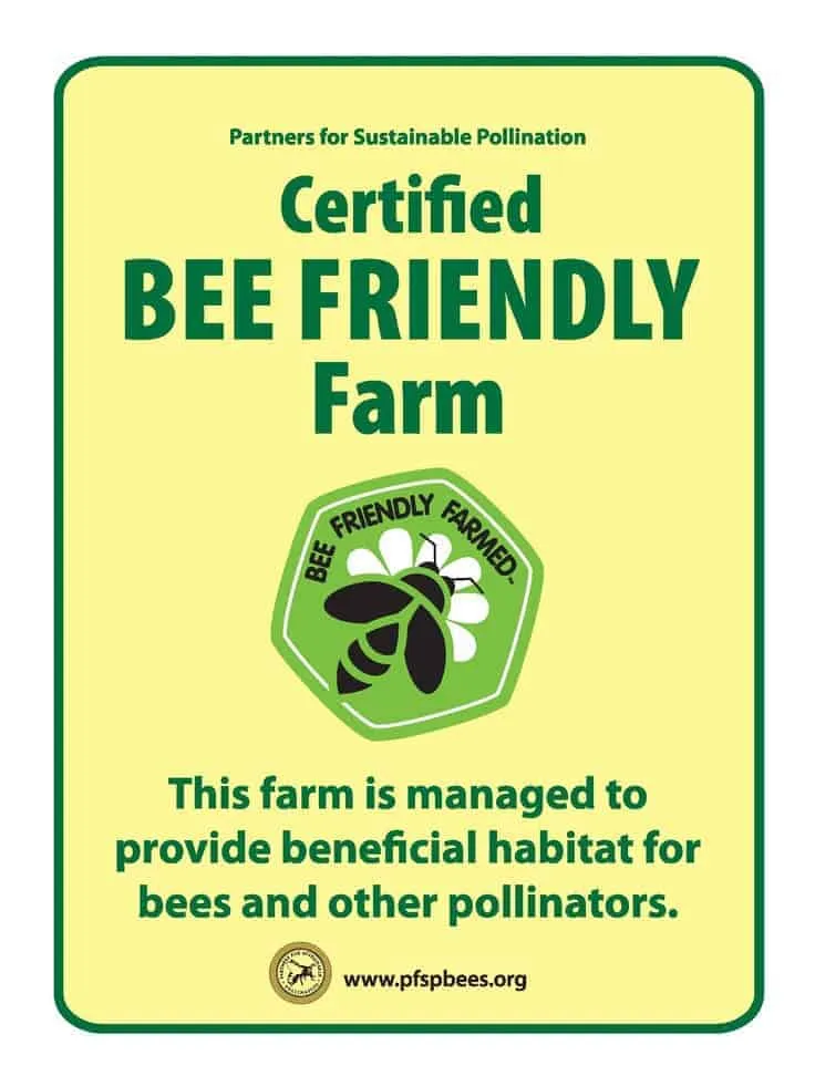 Pollinator Partnership ชวนกันมาเป็นพันธมิตรปกป้องผึ้ง - greenery.