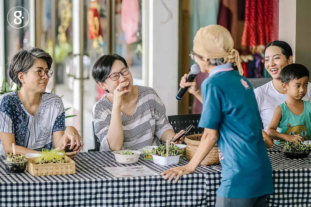 หัดเพาะไมโครกรีน ผักแจ๋วปลูกง่าย ขึ้นไวในพื้นที่หนึ่งฝ่ามือ - greenery.