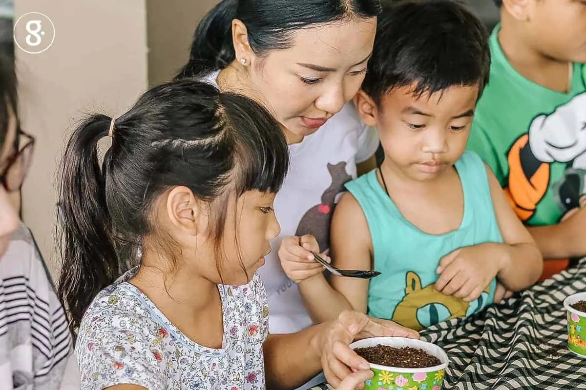 หัดเพาะไมโครกรีน ผักแจ๋วปลูกง่าย ขึ้นไวในพื้นที่หนึ่งฝ่ามือ - greenery.