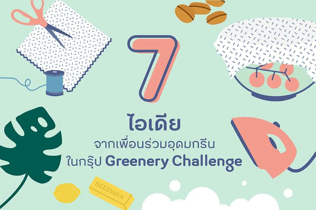 7 ไอเดียจากเพื่อนร่วมอุดมกรีน ในกรุ๊ป Greenery Challenge - greenery.