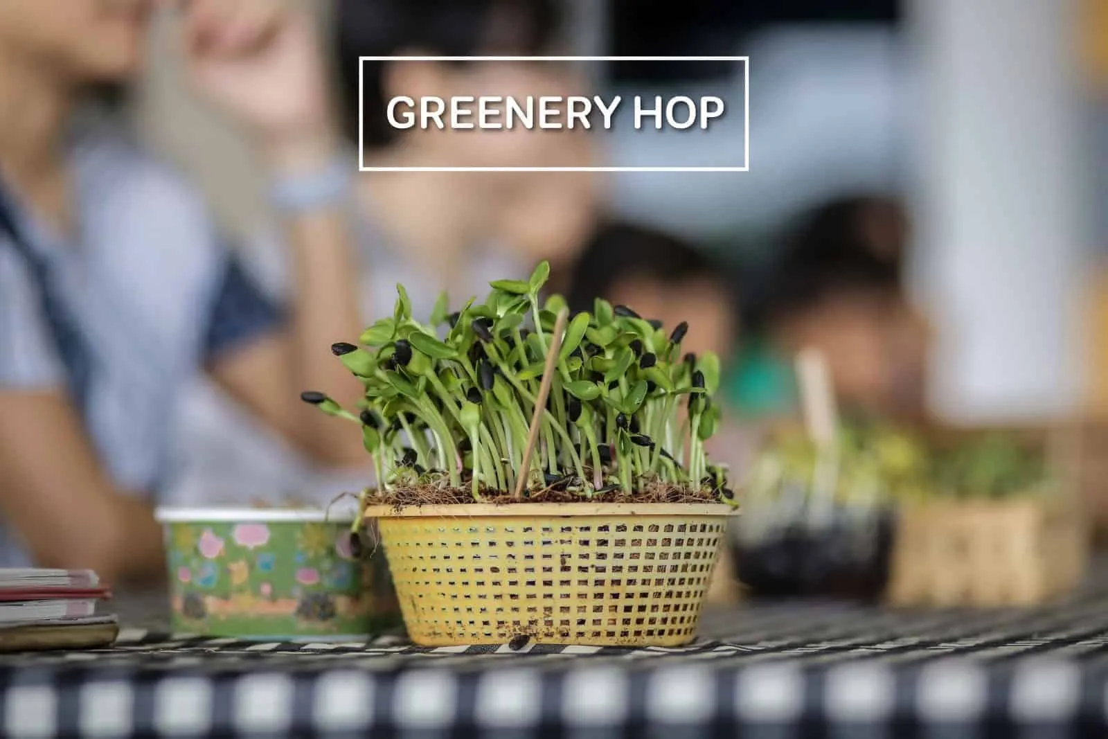 Greenery HOP: ที่ไหนน่าไป มีอะไรน่าทำ มาออกไปผจญภัยด้วยกันตลอดกันยายนนี้ - greenery.