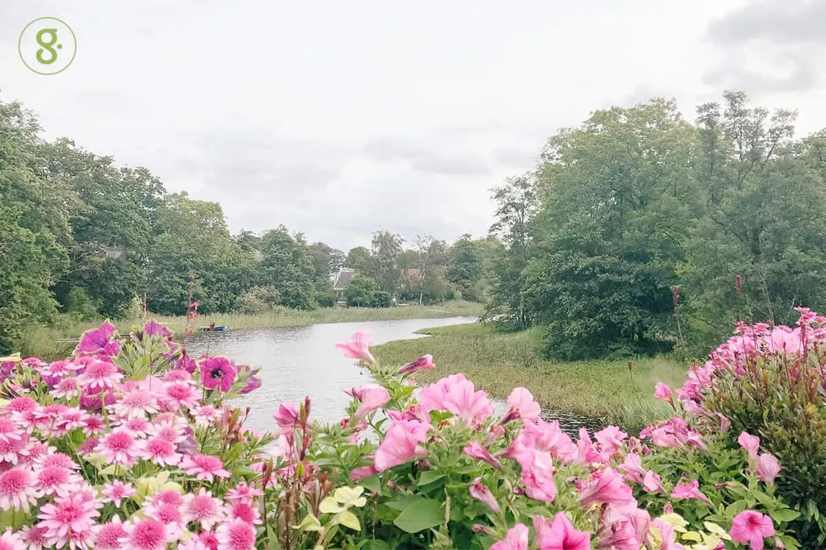 The Edible Country โปรแกรมเที่ยวสวีเดนแบบได้กินดี (มาก!) - greenery.