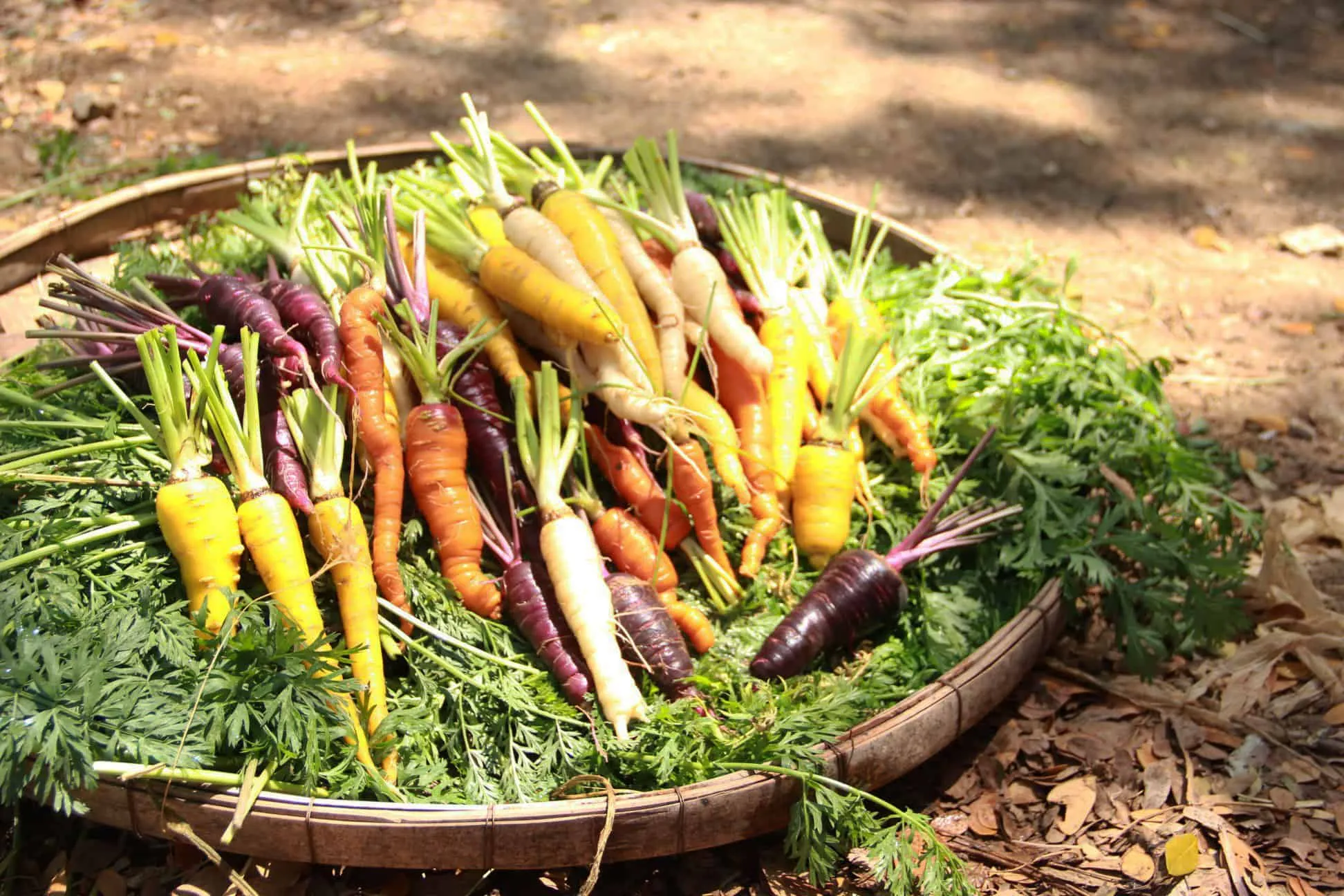 Greenery HOP: รวมลิสต์แหล่งช้อปอาหารสุขภาพออนไลน์สู้ COVID-19 - greenery.