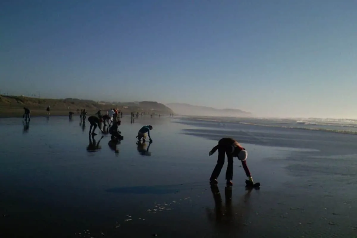 ร้านตัดผมสายกรีน เปลี่ยนเศษผมให้กลายเป็นพรมดักน้ำมัน - greenery.