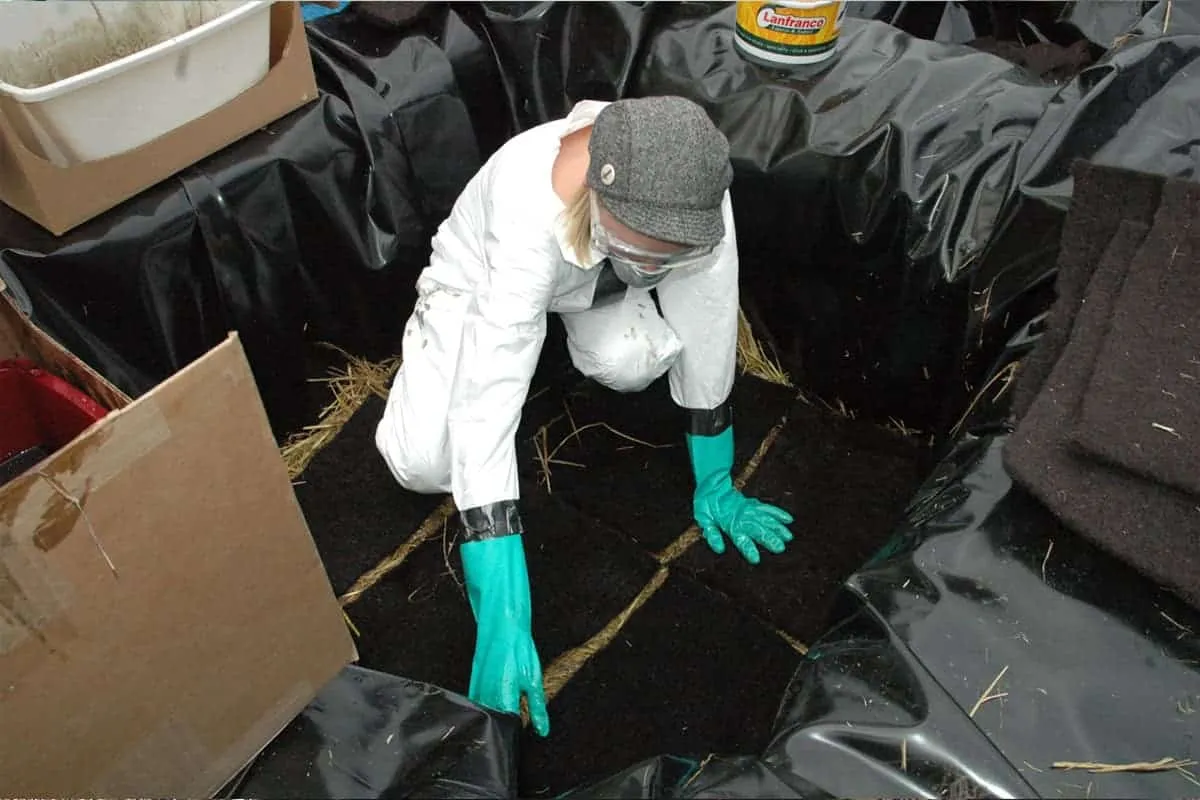 ร้านตัดผมสายกรีน เปลี่ยนเศษผมให้กลายเป็นพรมดักน้ำมัน - greenery.