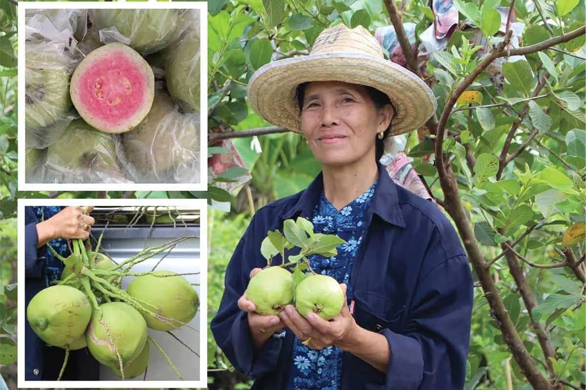 GRWE: บอกรักตัวเอง รักโลก ผ่าน 5 อีเวนต์ดี ๆ ทิ้งทวนเดือนกุมภาพันธ์ - greenery.