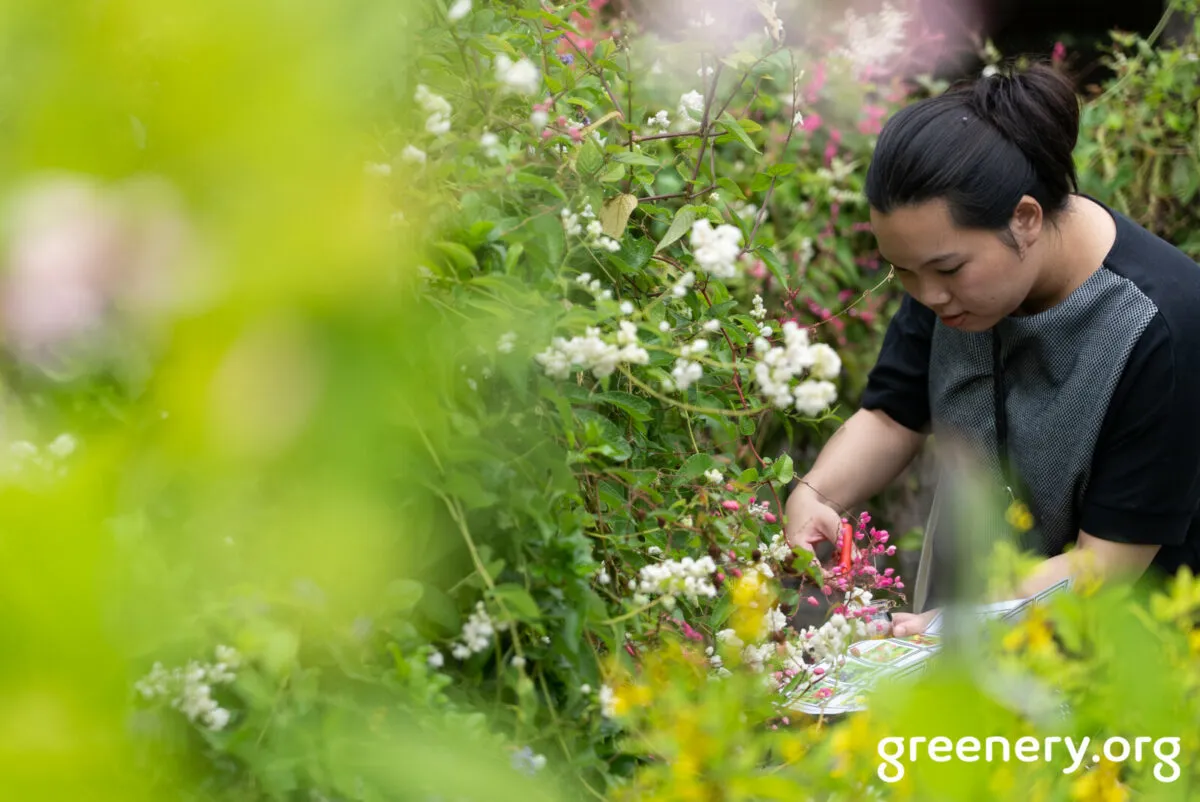 ลุยสวน ล้อมวง ลงฟาร์มกับ ‘ลุงรีย์ & กำนันหนุ่ม’ ในทริป Greenery Journey - greenery.
