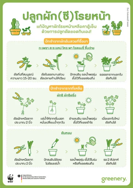 INFO NOV-01 - greenery.