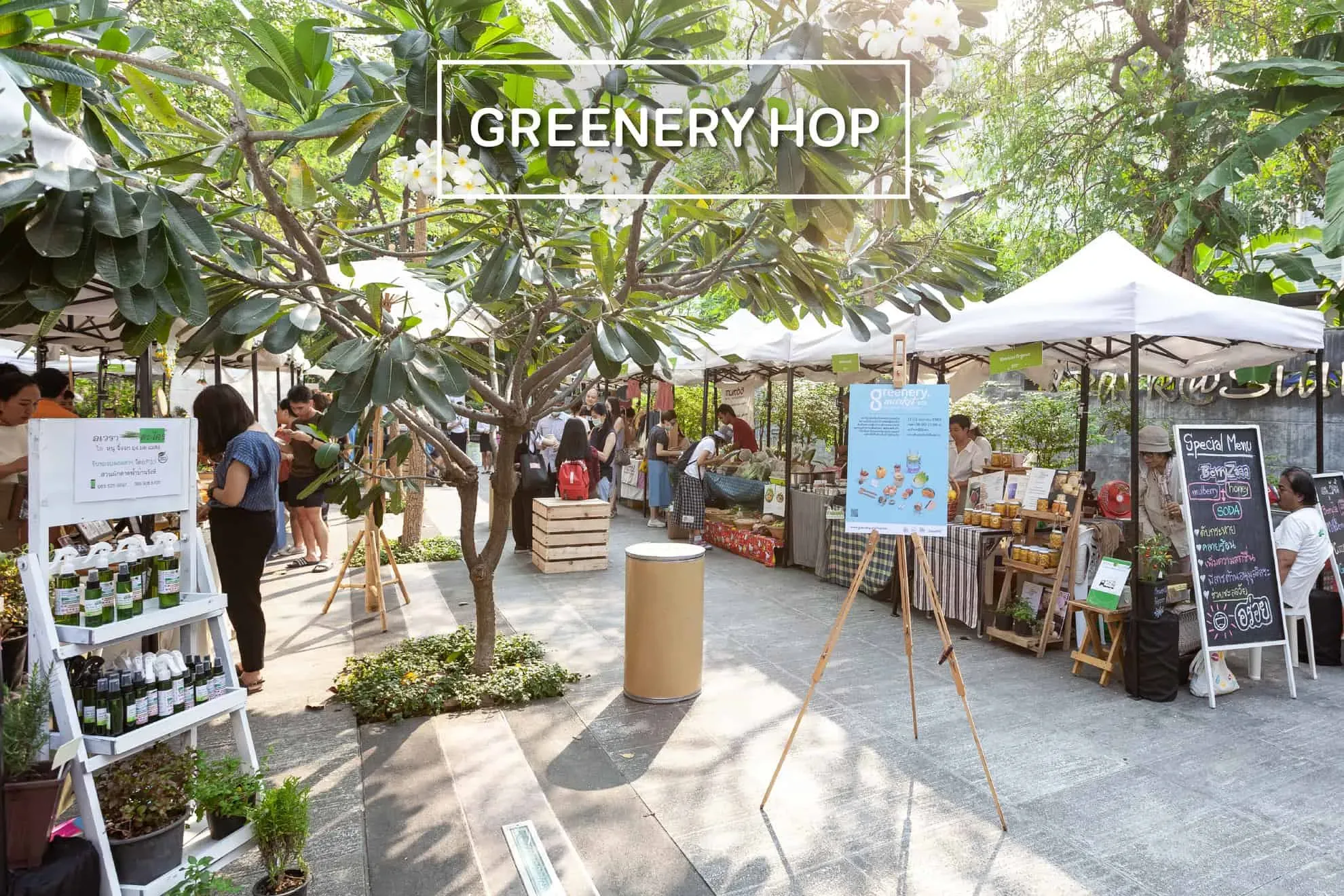 Greenery HOP: ต้อนรับเดือนแห่ง 'รัก(ษ์)' ไปกับแหล่ง ชิม ช้อป สินค้าปลอดภัย - greenery.