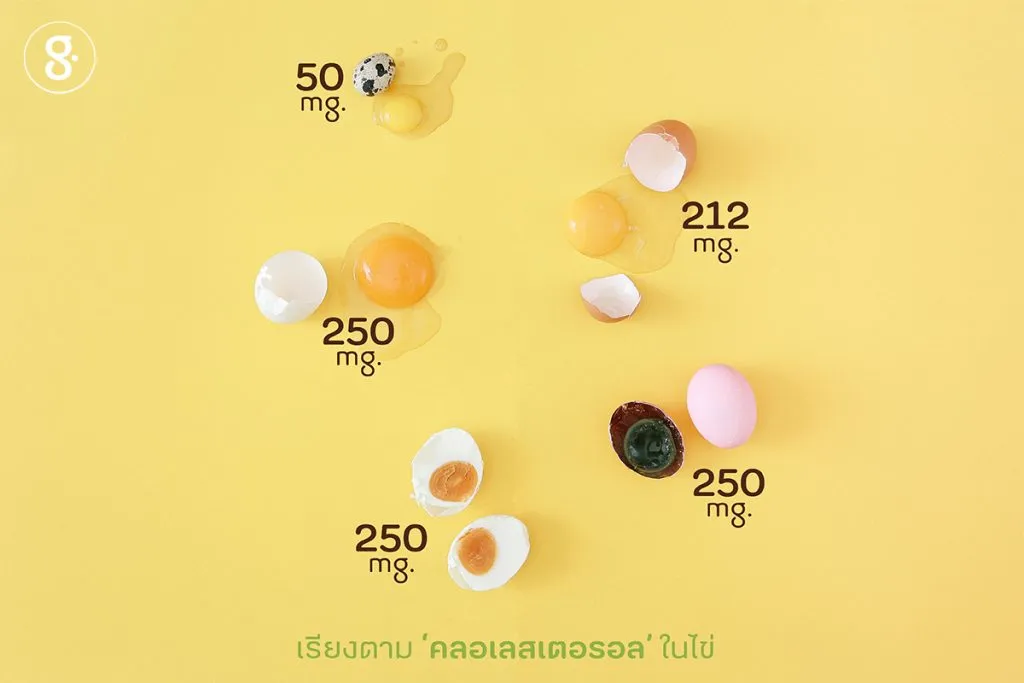 G101 เรียงตามลำดับไข่ - greenery.