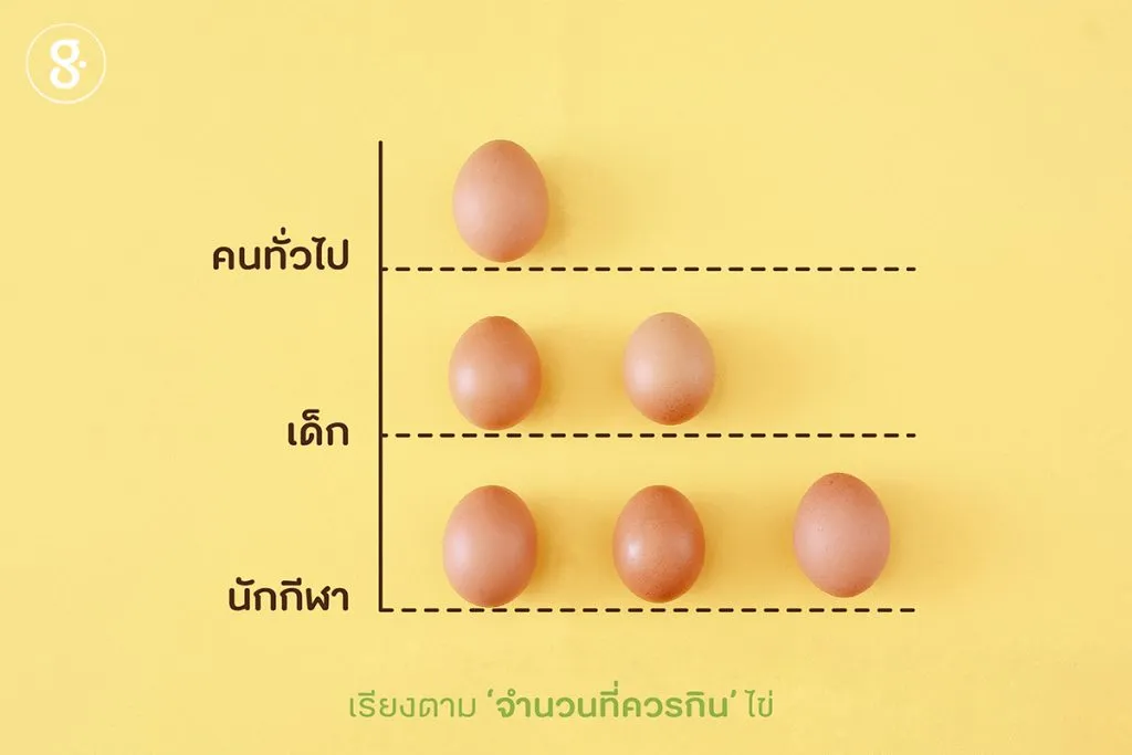 G101 เรียงตามลำดับไข่ - greenery.