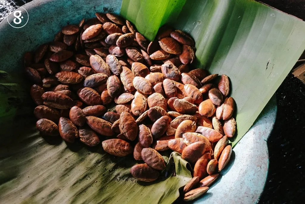 NN-18บะมื่น - greenery.