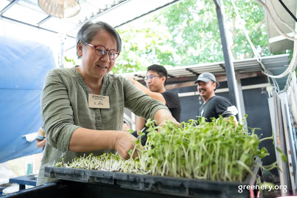 Greenery Journey ตอน...Microgreen Magic: ปลูกผักจิ๋ว ประโยชน์สุดแจ๋ว - greenery.