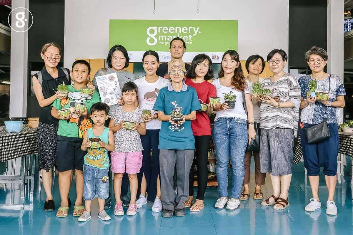 หัดเพาะไมโครกรีน ผักแจ๋วปลูกง่าย ขึ้นไวในพื้นที่หนึ่งฝ่ามือ - greenery.