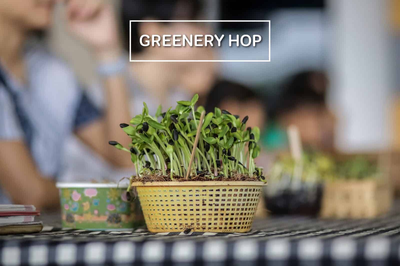 Greenery HOP: ที่ไหนน่าไป มีอะไรน่าทำ มาออกไปผจญภัยด้วยกันตลอดกันยายน ...