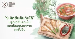 G101 เรียงตามลำดับไข่ - greenery.
