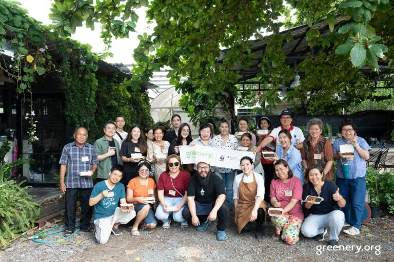 Greenery Journey ตอน...Microgreen Magic: ปลูกผักจิ๋ว ประโยชน์สุดแจ๋ว - greenery.