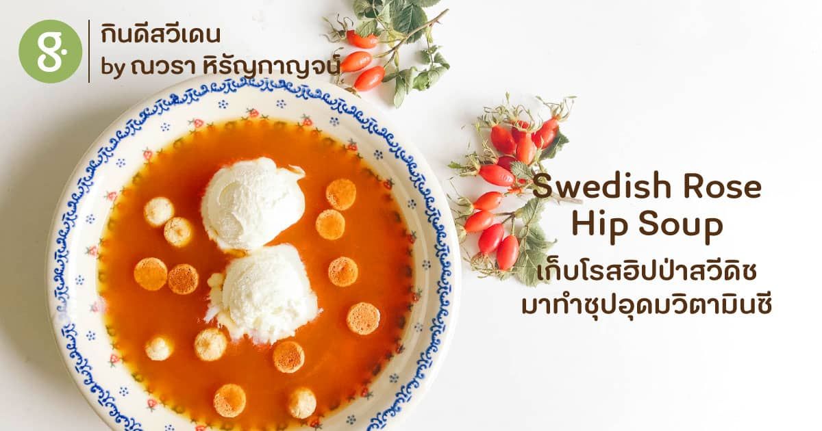 Swedish Rose Hip Soup เก็บโรสฮิปป่าสวีดิชมาทำซุปอุดมวิตามินซี - greenery.