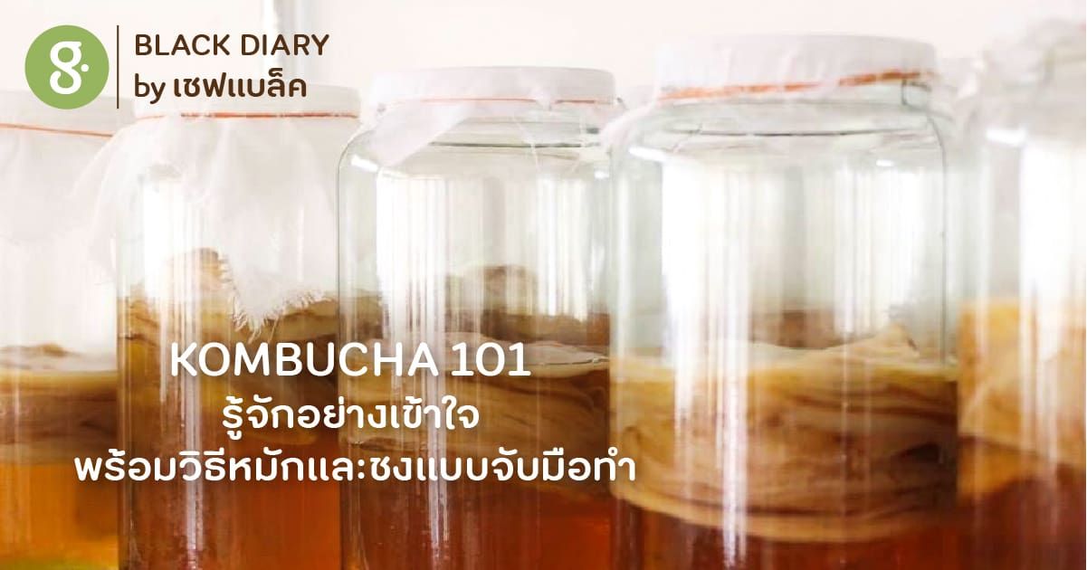 KOMBUCHA 101 รู้จักอย่างเข้าใจ พร้อมวิธีหมักและชงแบบจับมือทำ - greenery.