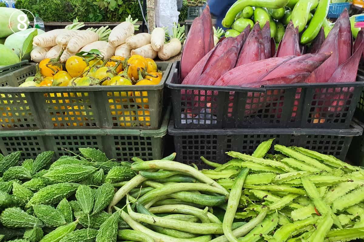 Report_ผักวาระแห่งชาติ-1 - greenery.