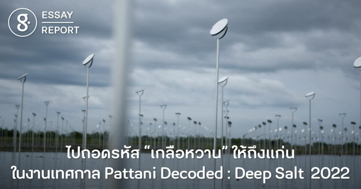 ไปถอดรหัส “เกลือหวาน” ให้ถึงแก่น ในงานเทศกาล Pattani Decoded : Deep Salt 2022 - greenery.