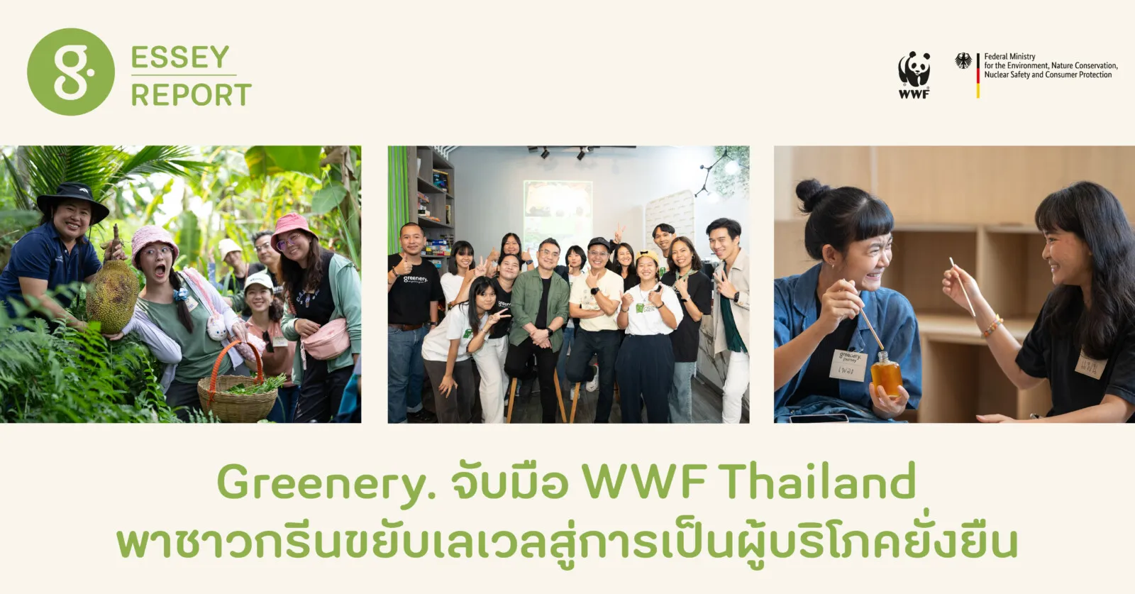 Greenery. จับมือ WWF Thailand พาชาวกรีนขยับเลเวลสู่การเป็นผู้บริโภคยั่งยืน - greenery.