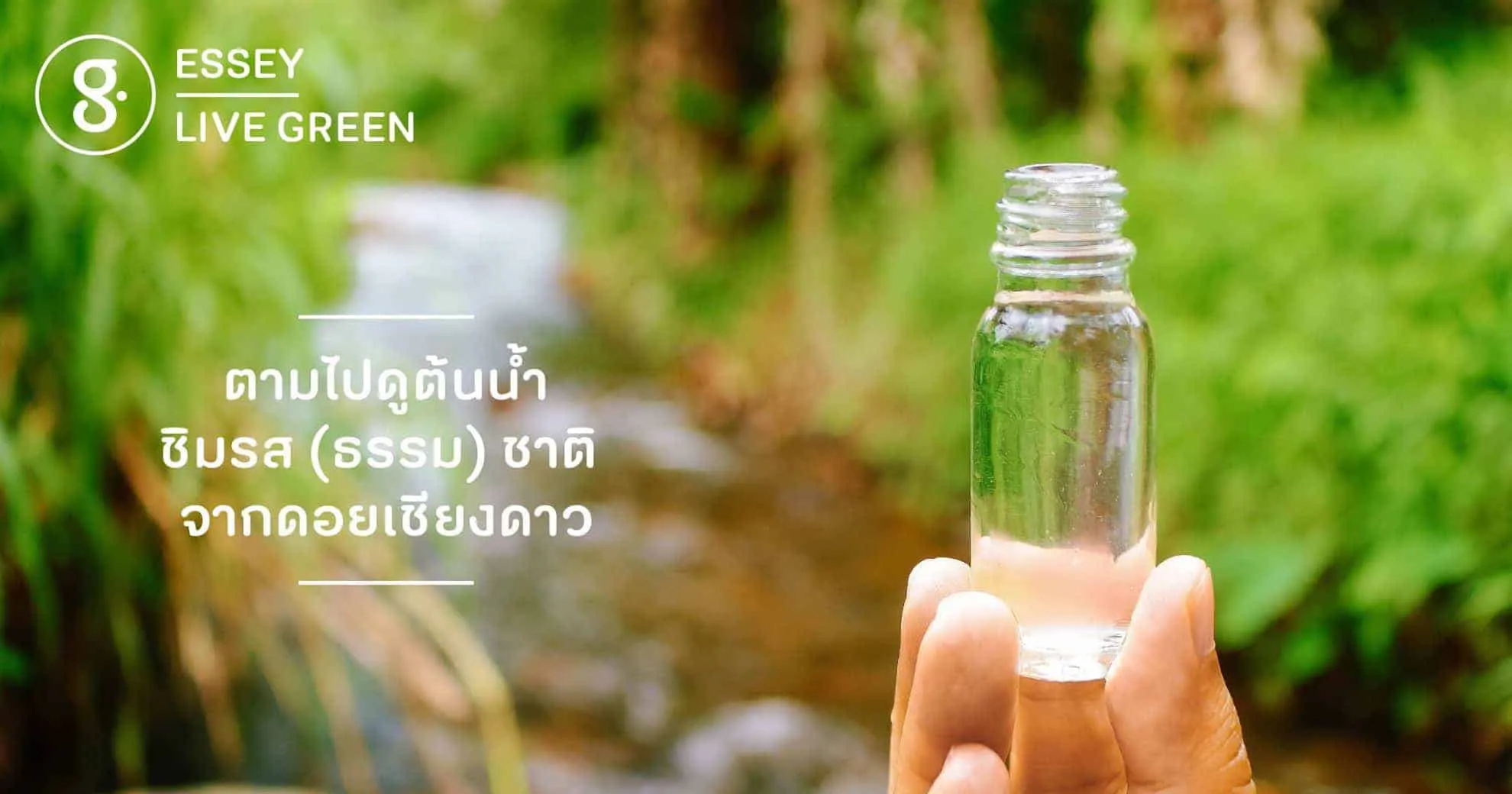 COVER TN-02 - greenery.