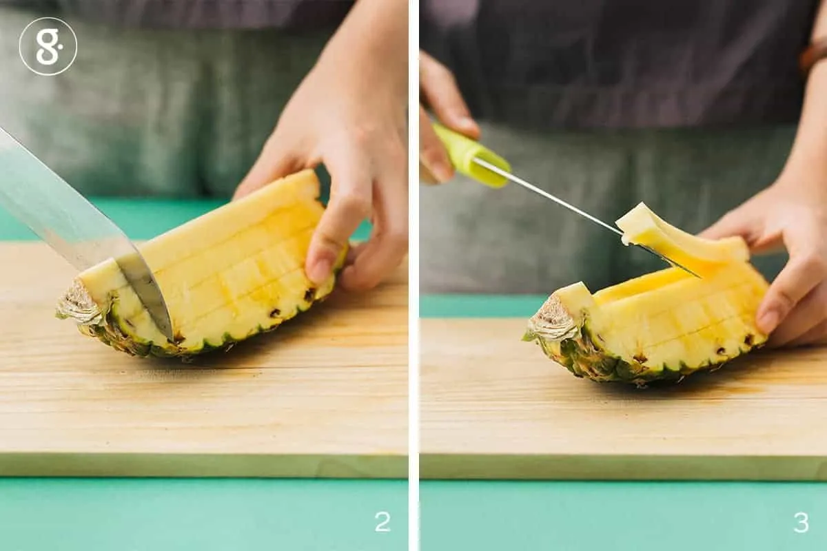 SP-02-03 - greenery.