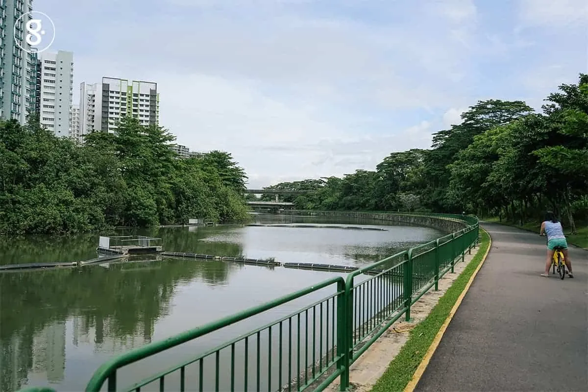 bicycle-05 - greenery.