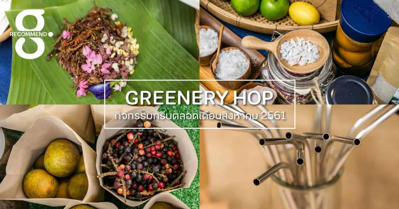 Greenery Hop: ชี้เป้ากิจกรรมดีๆ ที่น่าควงแม่ไปกรีนกัน 3 - 26 สิงหาคม นี้ - greenery.