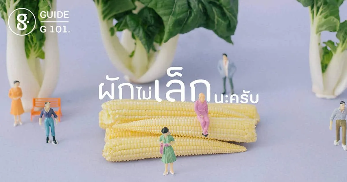 G101 เบบี้ผัก ผักไม่เล็กนะครับ - greenery.