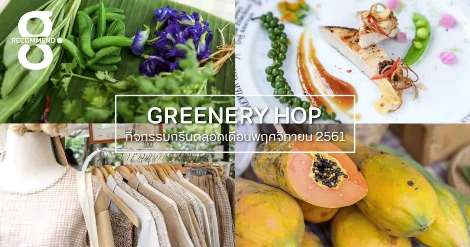 Greenery HOP: ลมหนาวมาเมื่อไหร่ก็ไม่กลัว เพราะเรามีกิจกรรมกรีนๆ ที่จะช่วยปรับอุณหภูมิหัวใจให้ ...