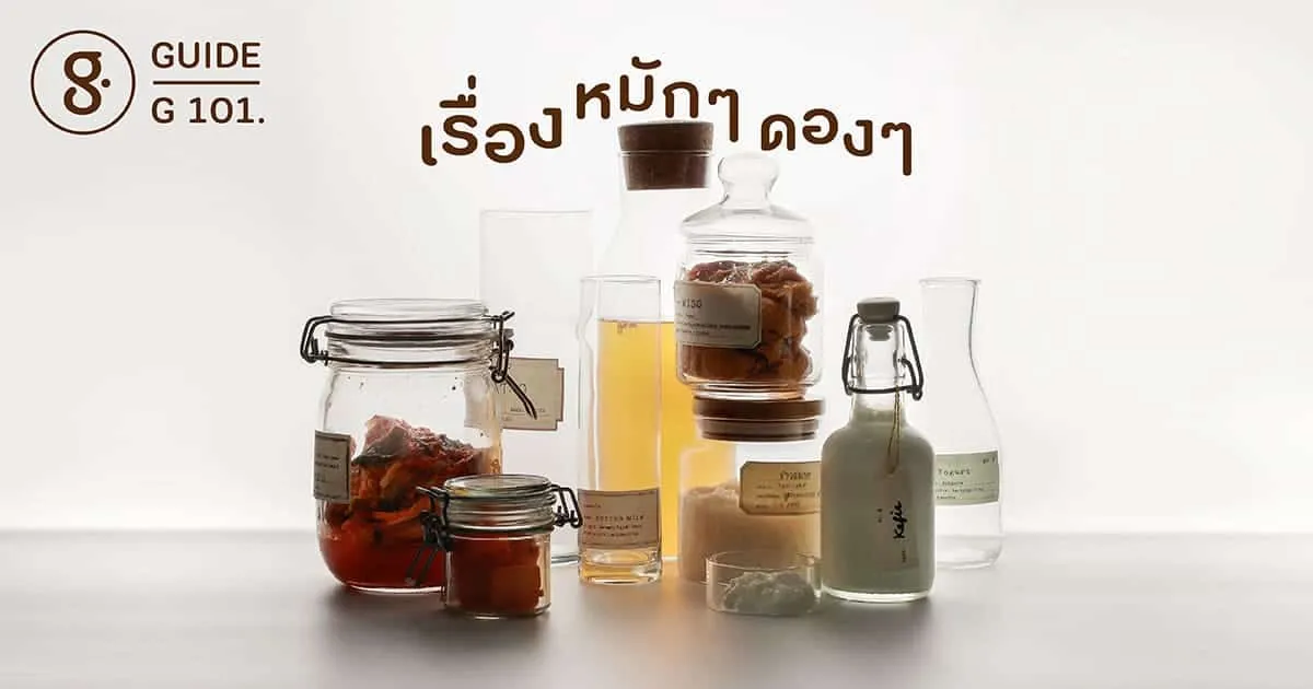 G101 เรื่องหมักๆ ดองๆ - greenery.