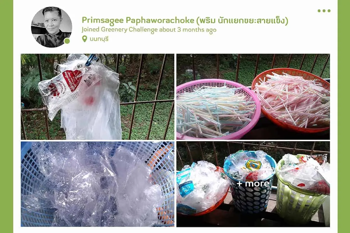 AW มงกุฏเพชร cs5 - greenery.