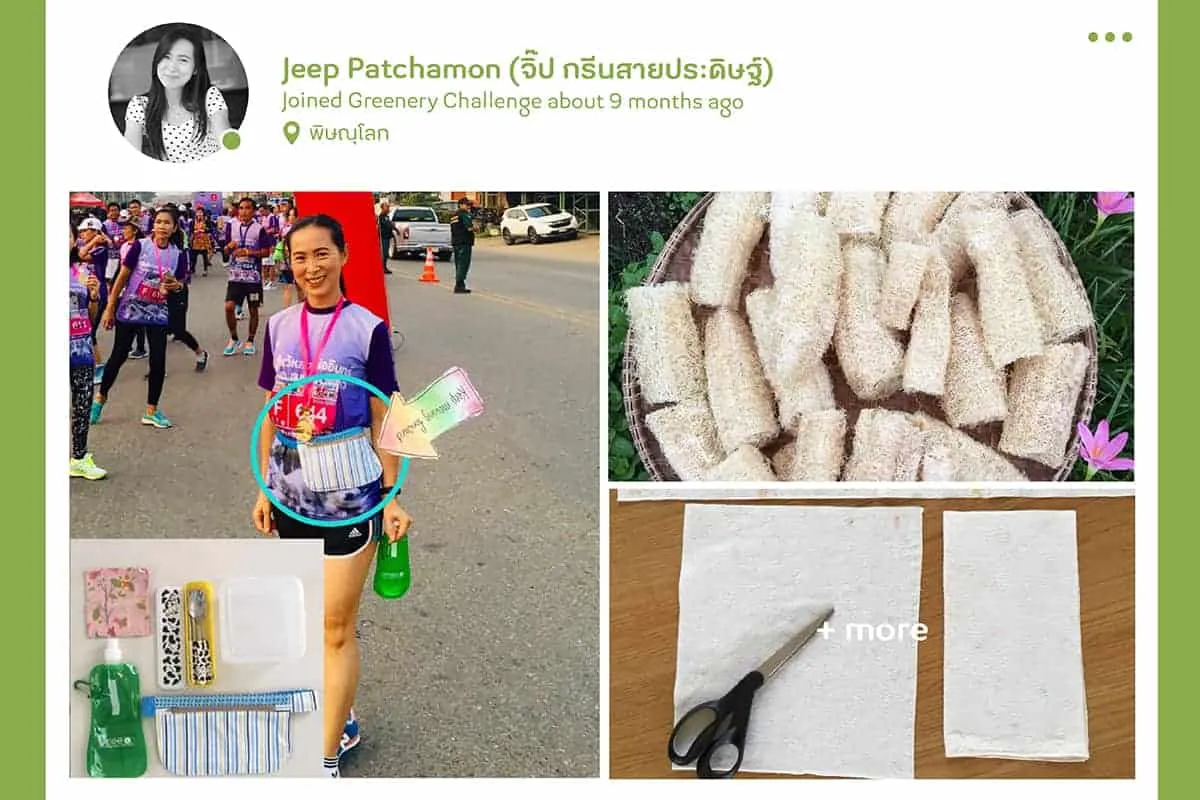 AW มงกุฏเพชร cs5 - greenery.