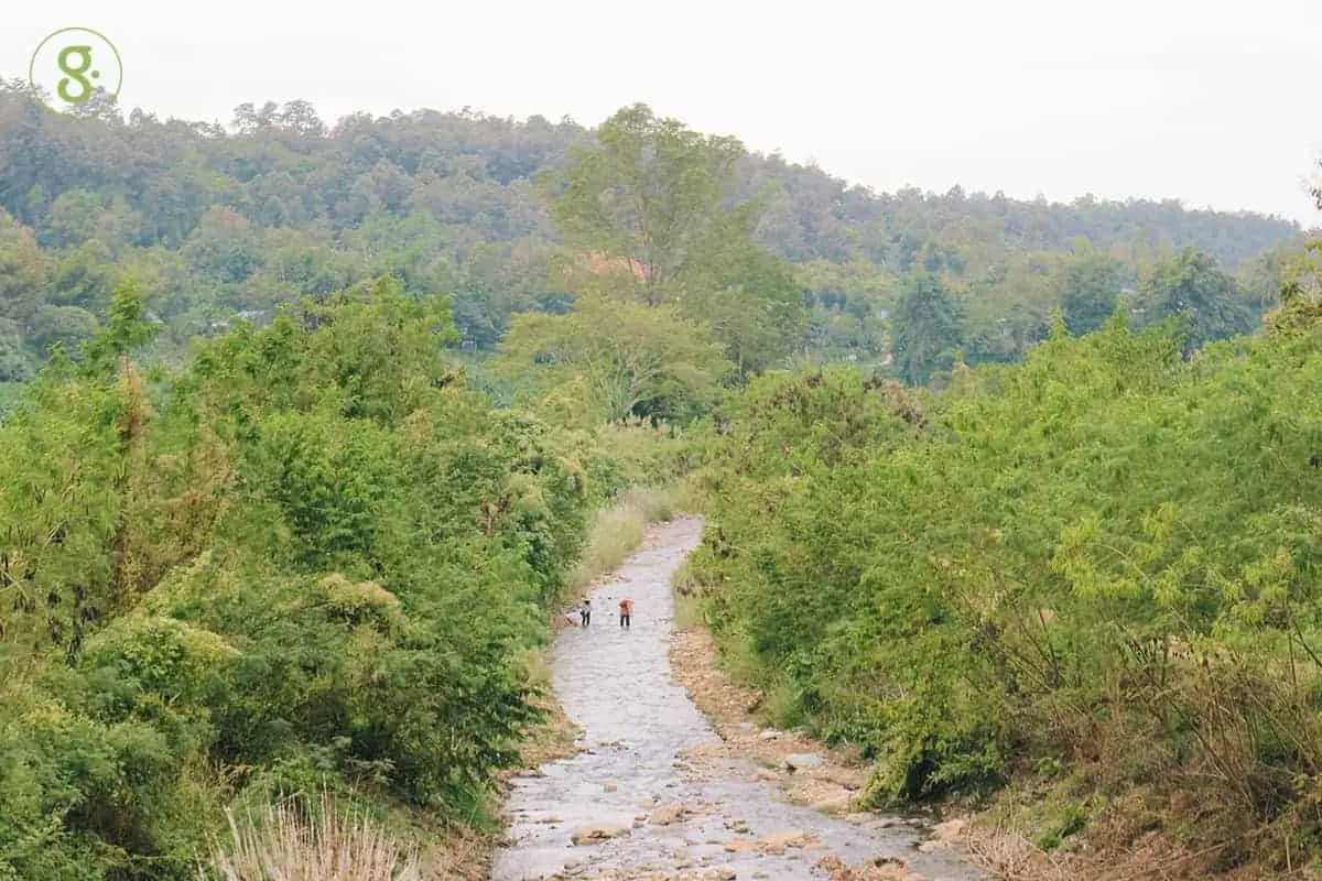 NN-13คนหาปลาและกุ้งลำธารในน้ - greenery.