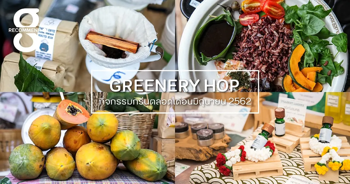 Greenery HOP: ต้อนรับหน้าฝนด้วยผลผลิตสีเขียวในเดือนมิถุนายน - greenery.