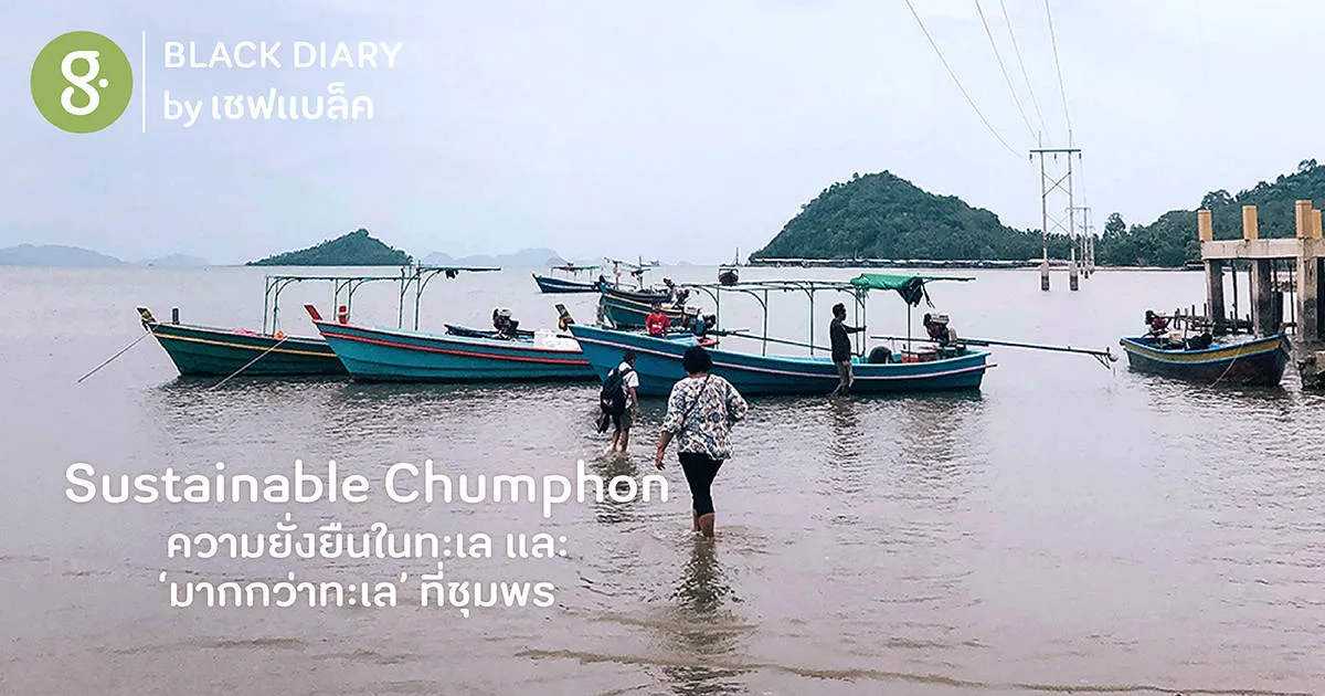 ความยั่งยืนในทะเล และ ‘มากกว่าทะเล’ ที่ชุมพร - greenery.