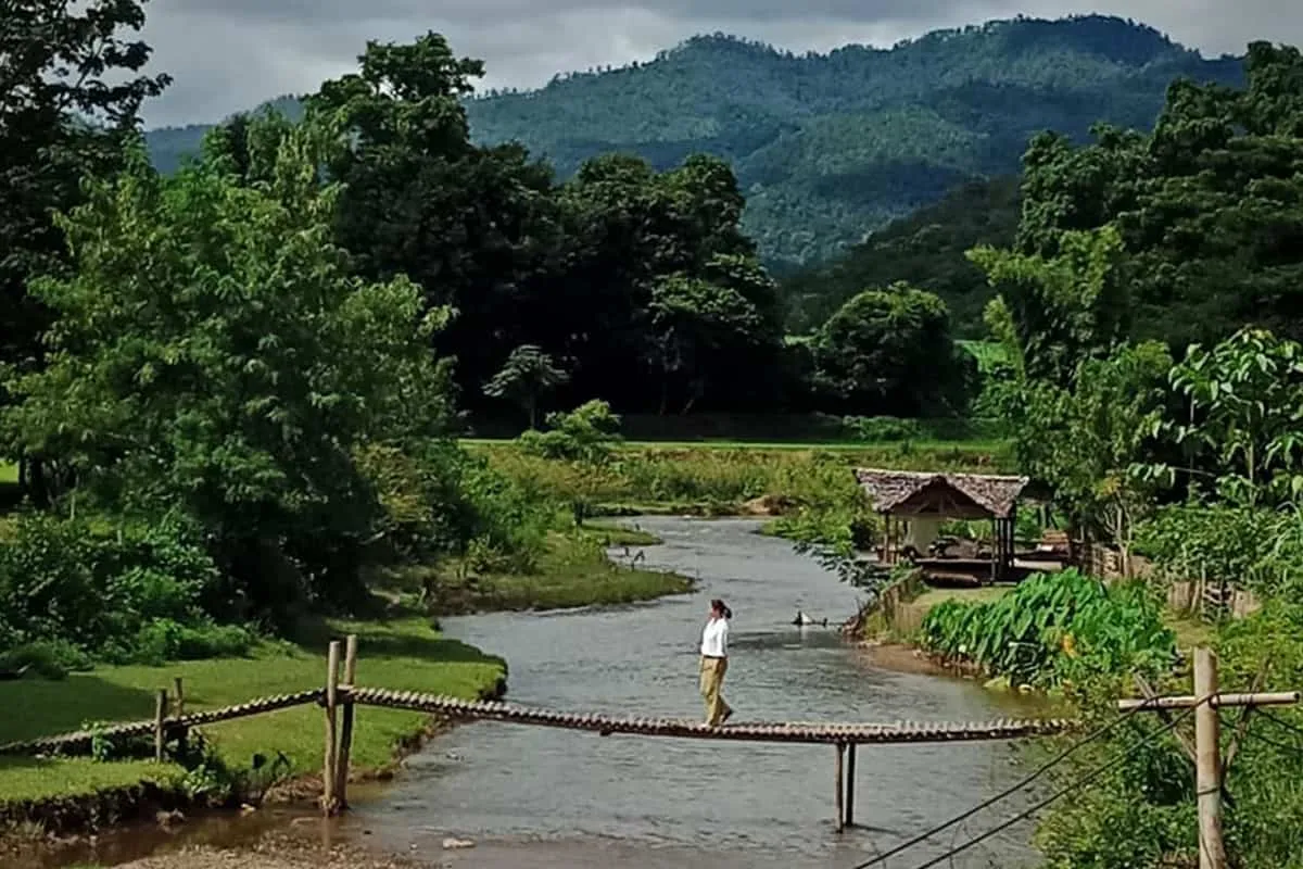 HST-02 hippocampus - greenery.