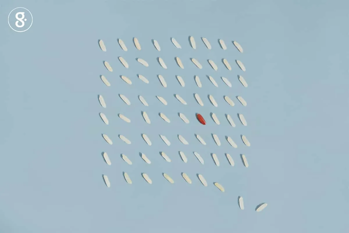 G101-rice03 - greenery.