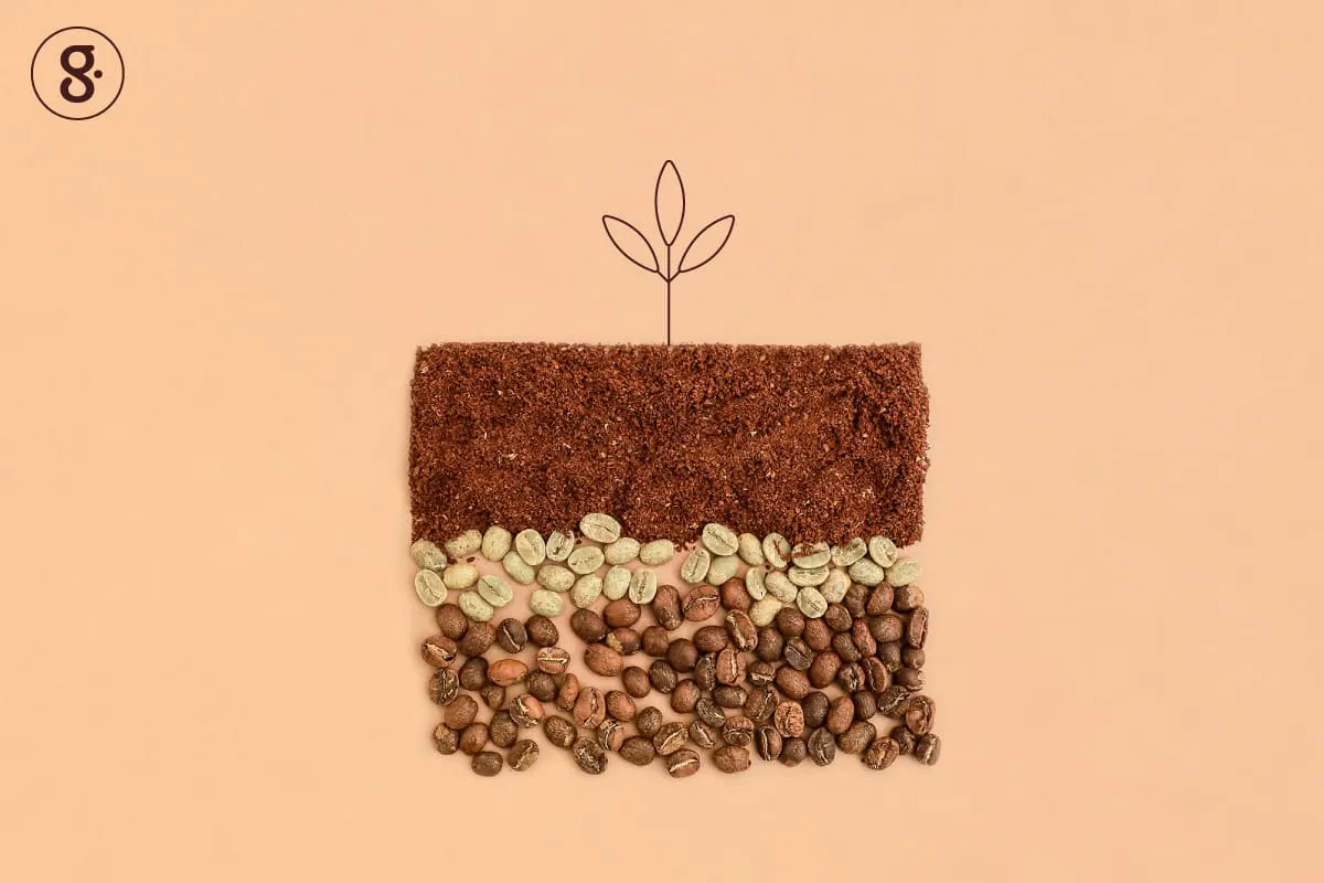 g101กาแฟ-01 - greenery.