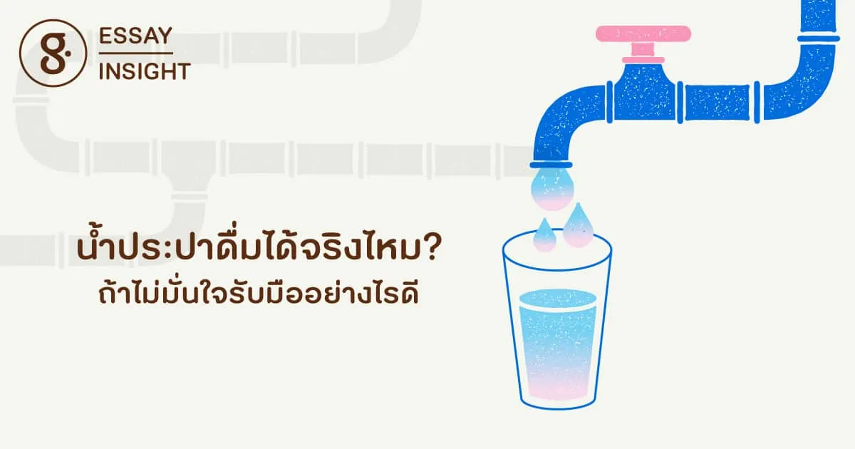insight-น้ำประปาcoverphoto - greenery.