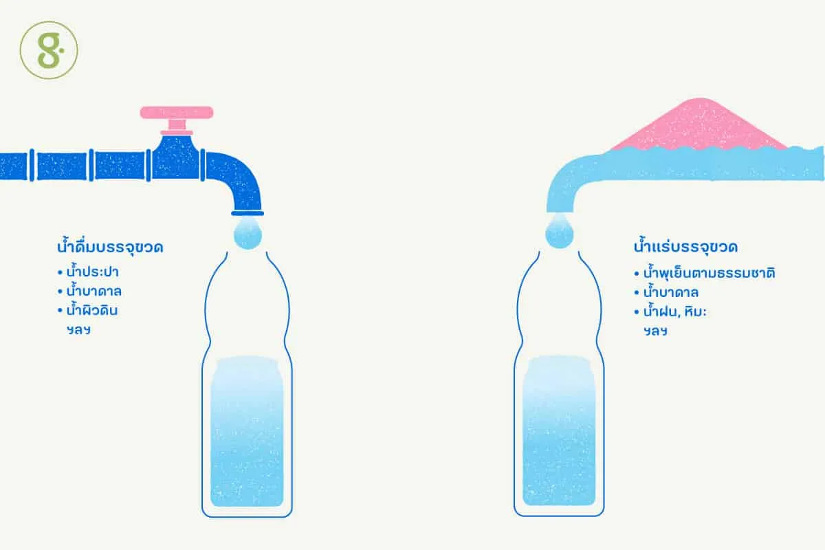 insight-น้ำประปาedit - greenery.