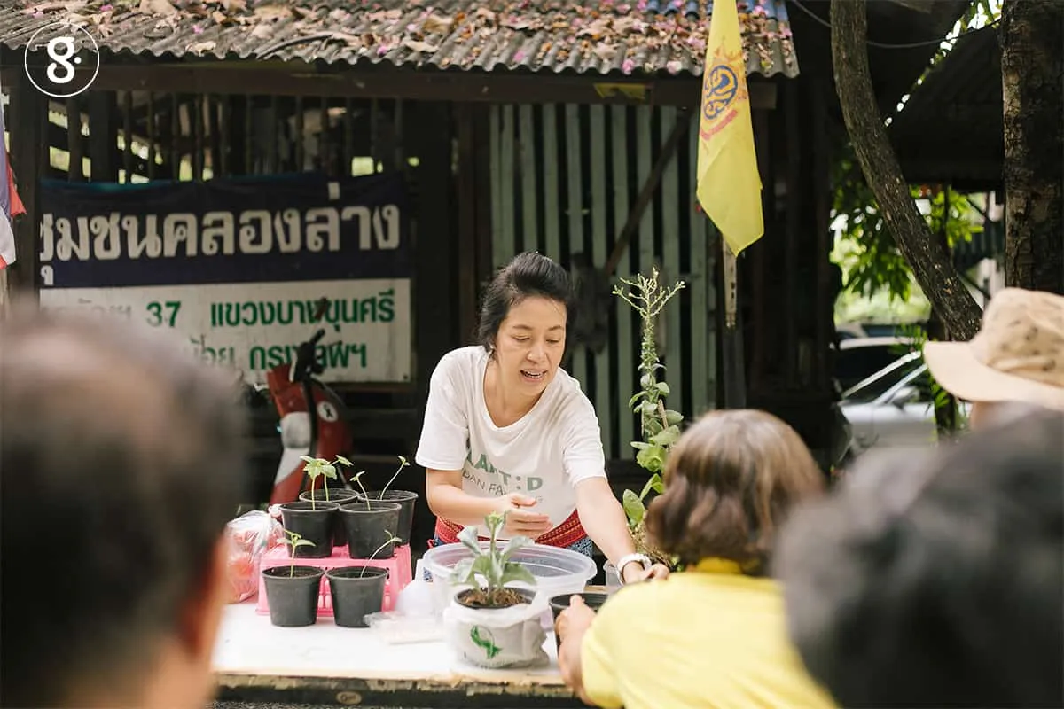 plantD-01 - greenery.