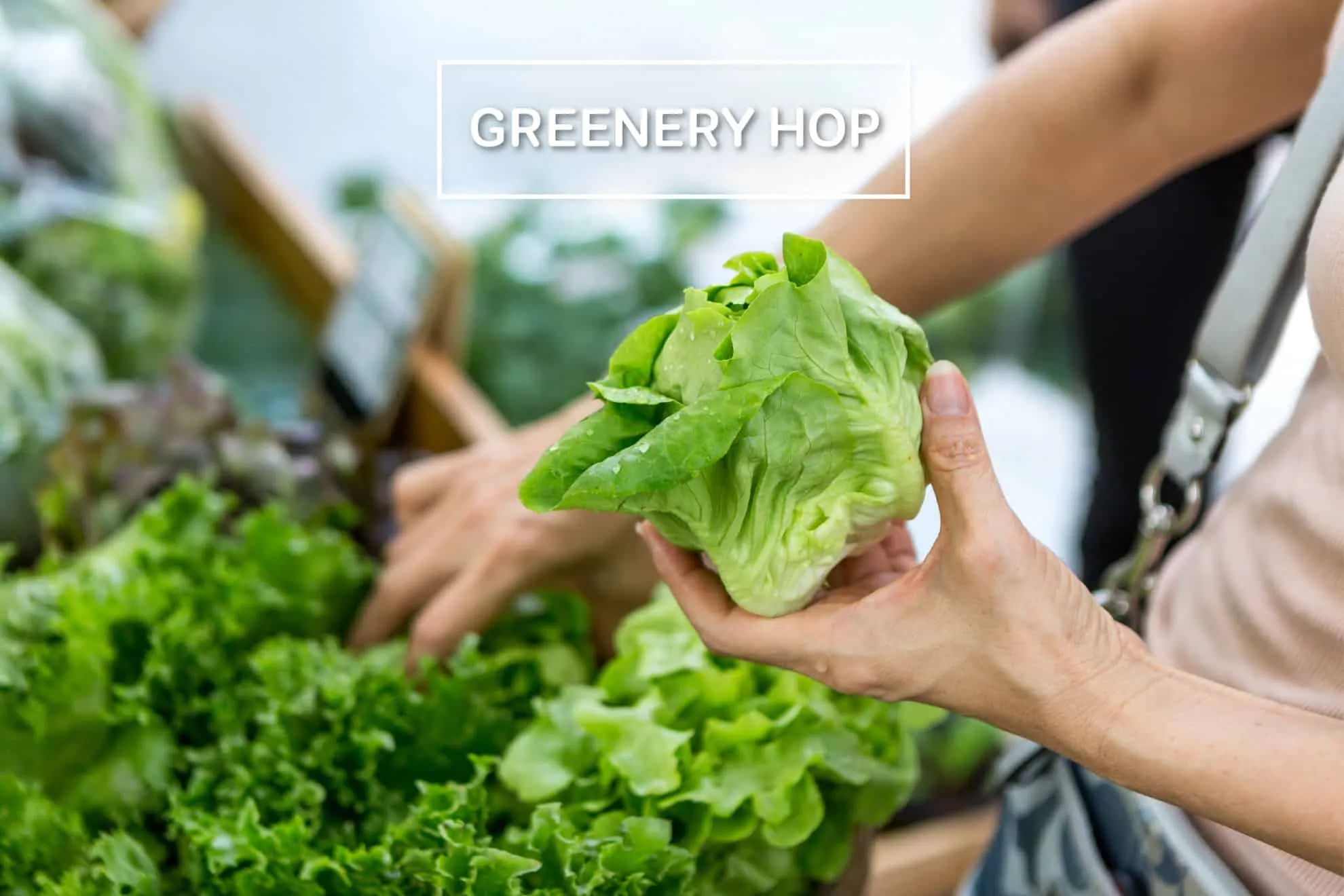 Greenery Hop Apr 2020-02 - greenery.