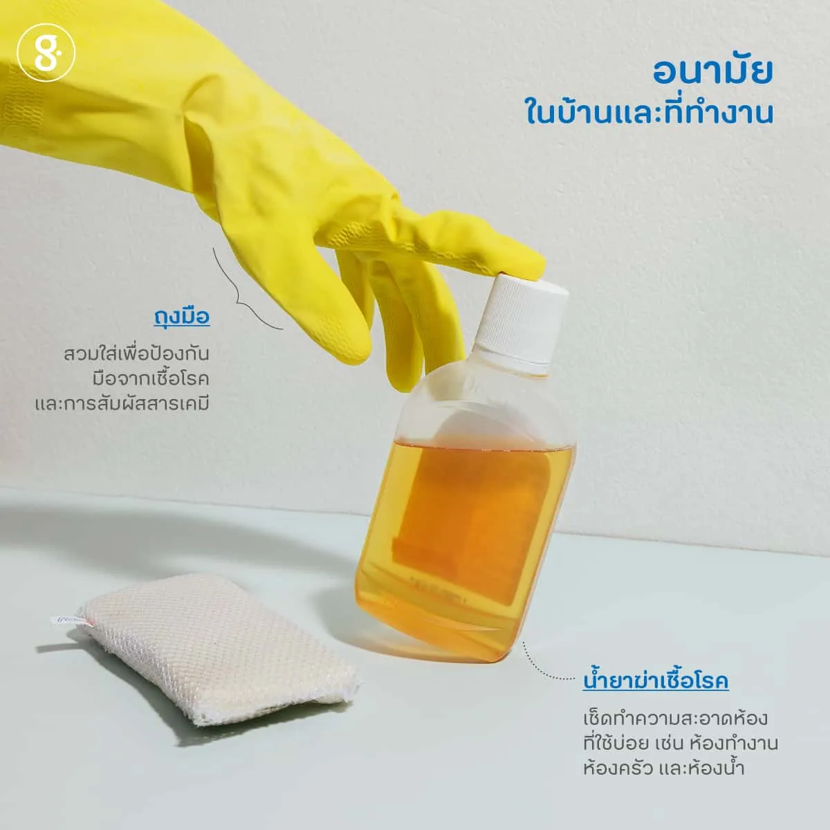 PersonalHygiene-03edit - greenery.