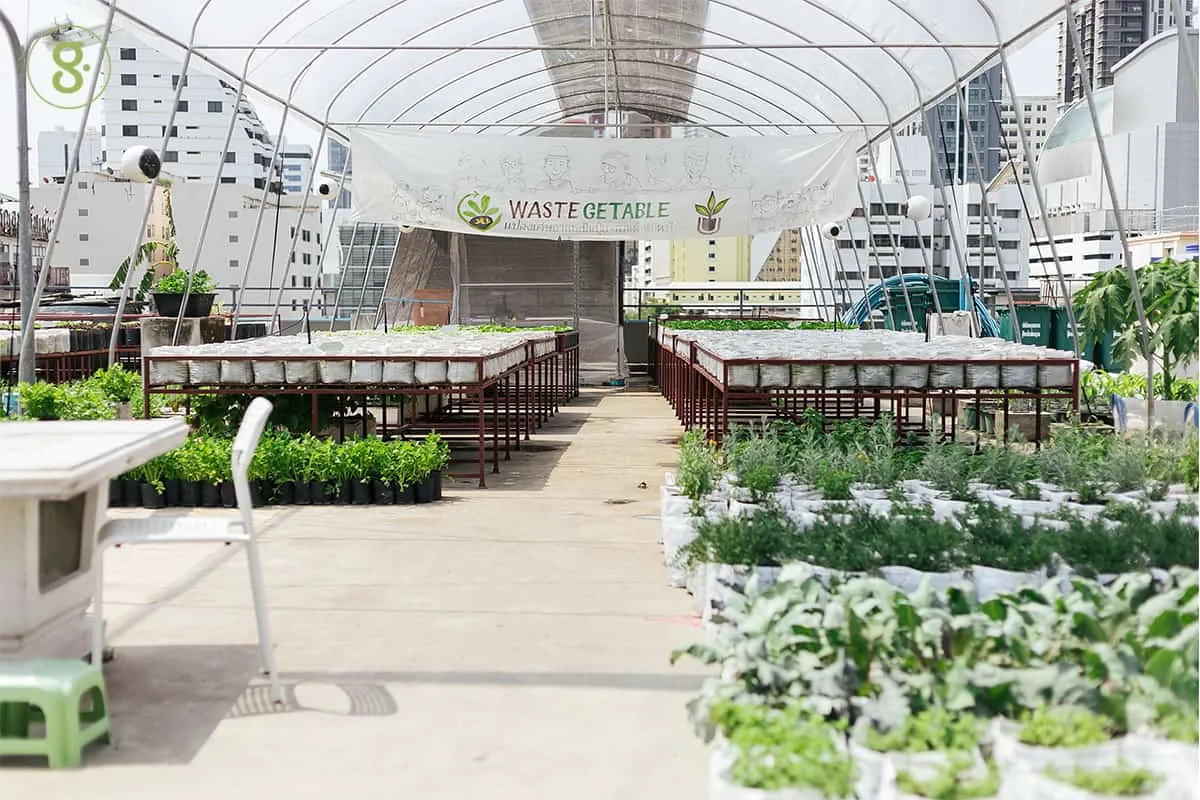 SUTEP-19 - greenery.