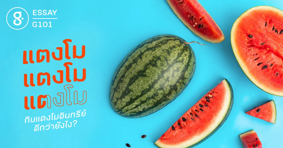 G101 แตงโม แตงโม แตงโม - greenery.