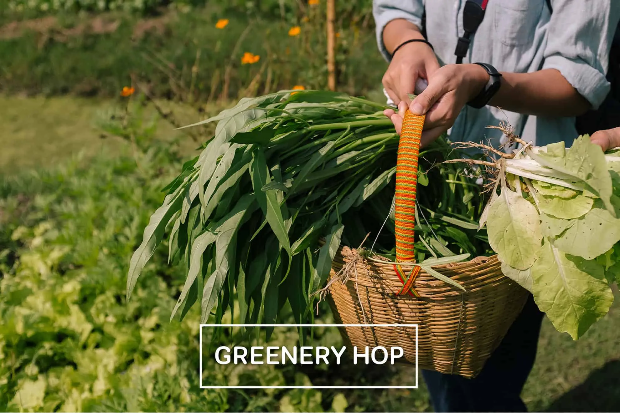 Greenery Hop May 2020-02 - greenery.